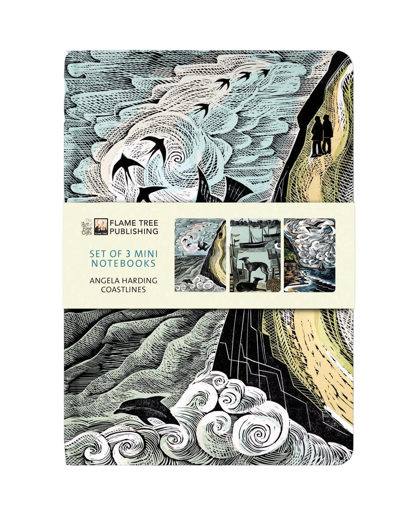 Angela Harding set of 3 mini notebooks – VisitPlymouth
